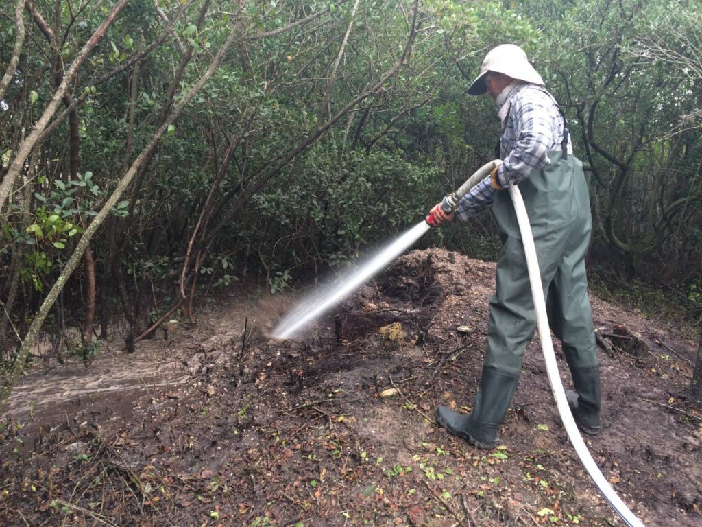 Mangrove Point Mitigation Bank Hydroblasting - Aquatech Eco Consultants